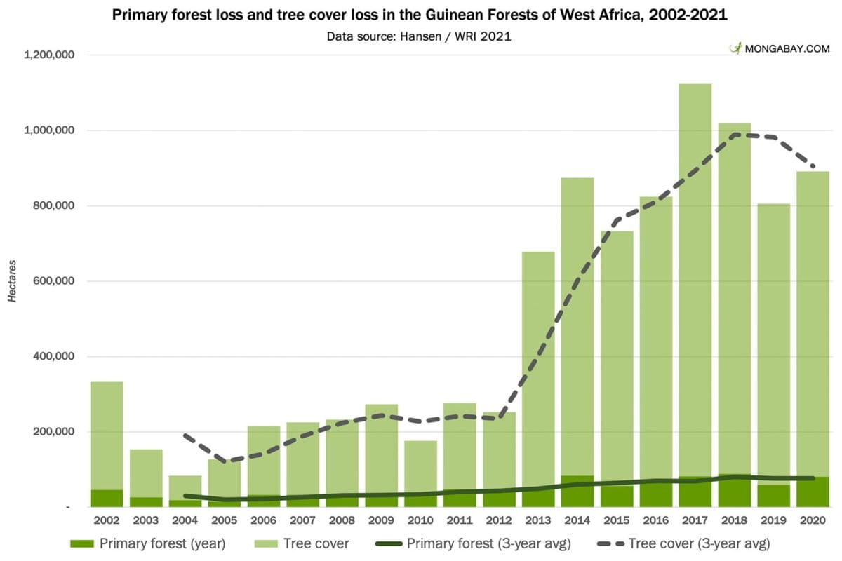 Global forest loss increased in 2020