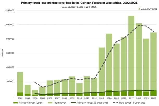 Global forest loss increased in 2020