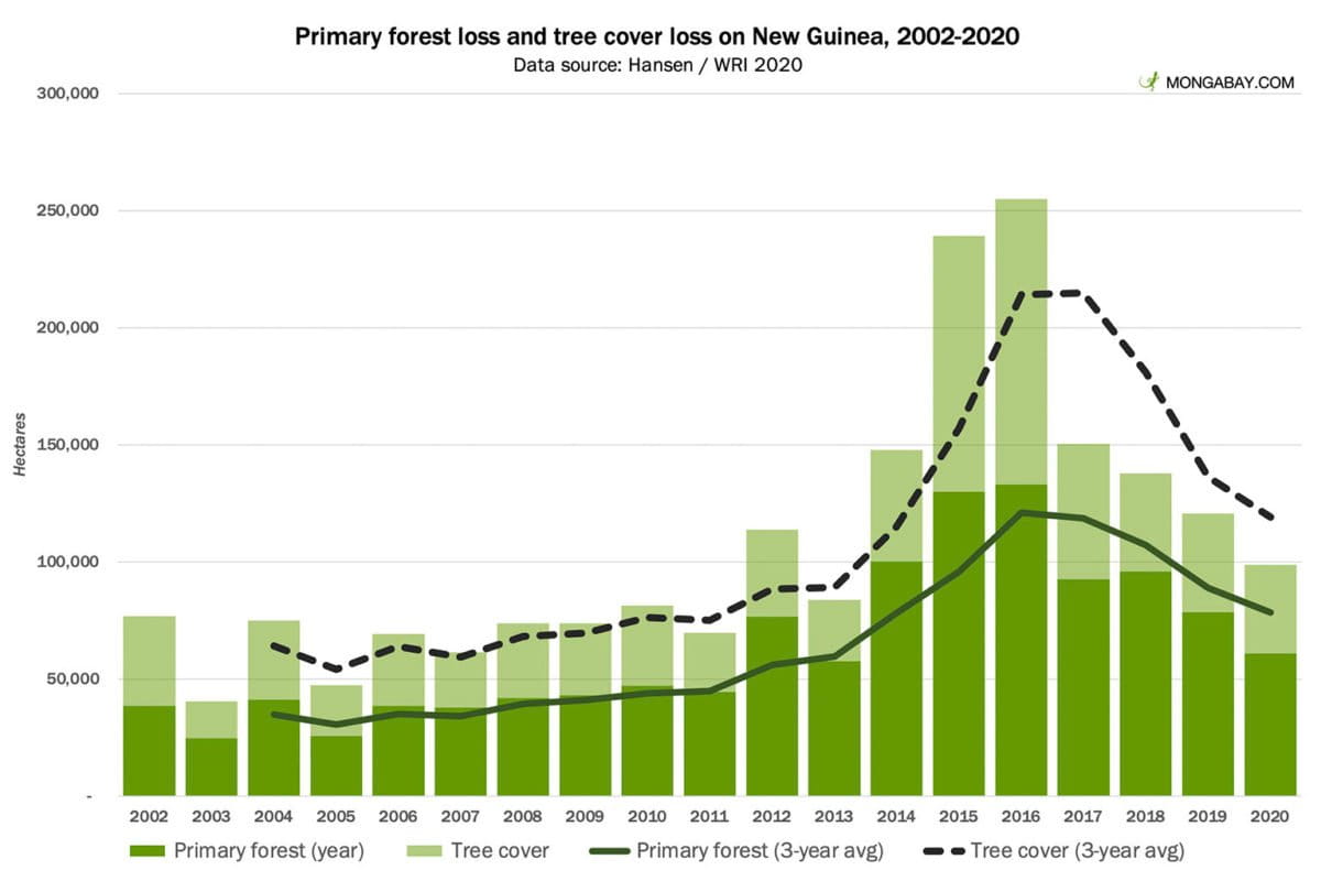 Global forest loss increased in 2020