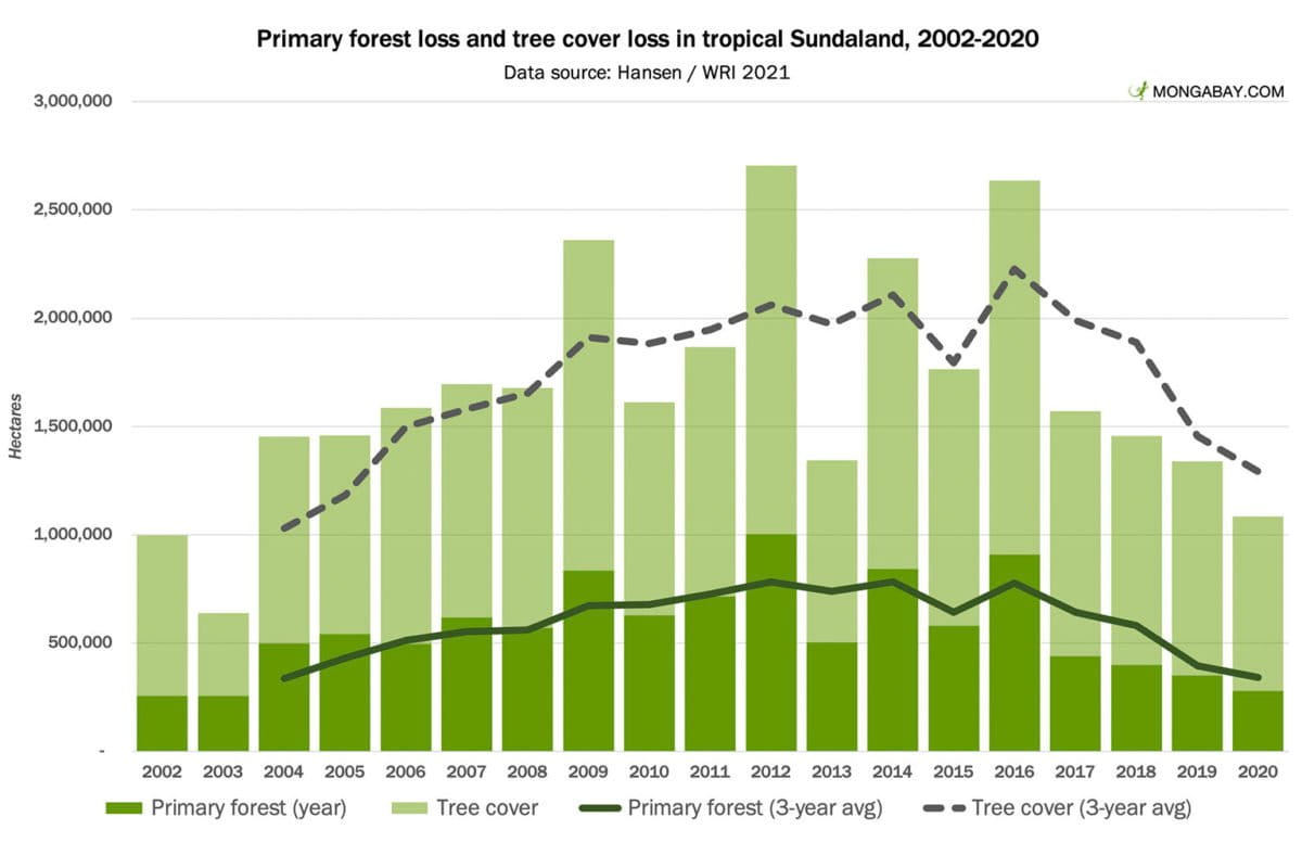 Global forest loss increased in 2020