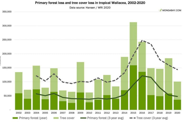 Global forest loss increased in 2020