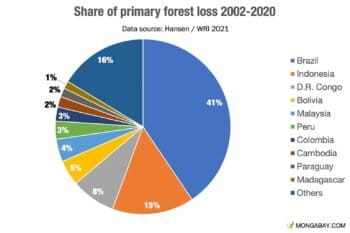 Global forest loss increased in 2020