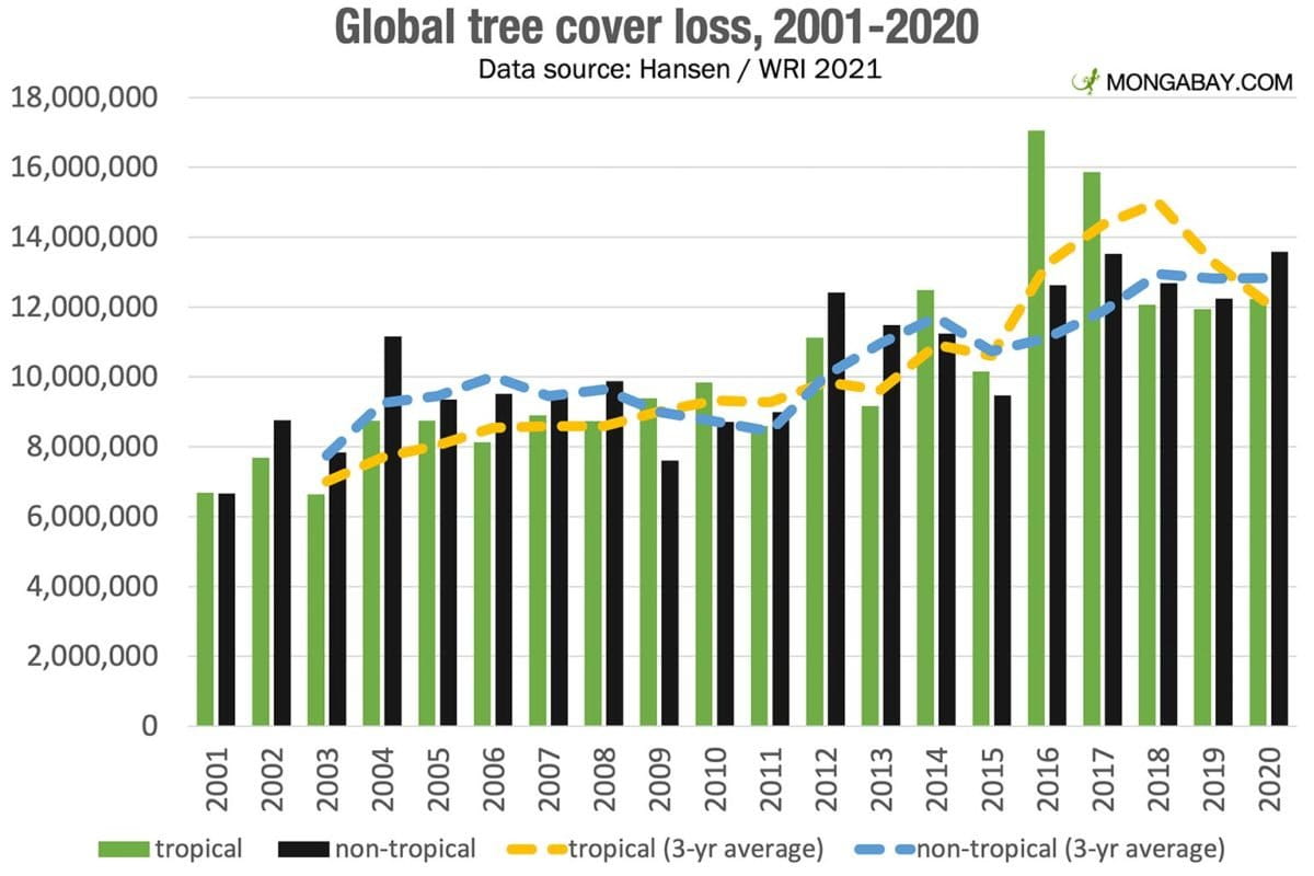 Global forest loss increased in 2020