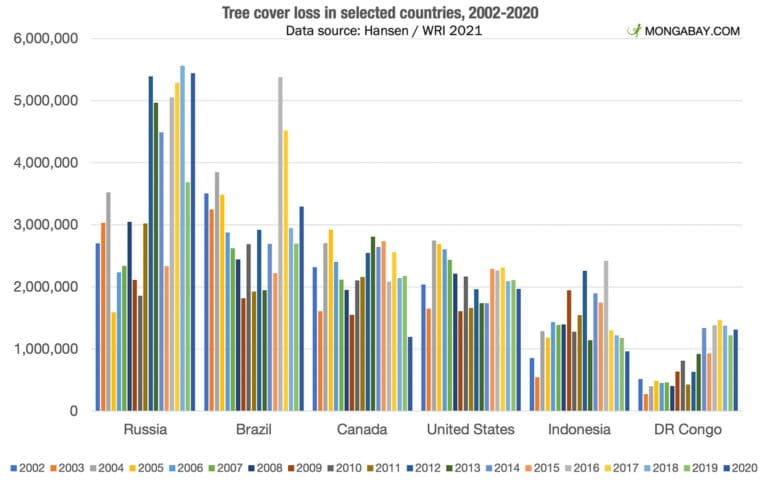 Global forest loss increased in 2020