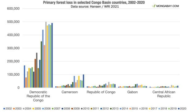 Global forest loss increased in 2020