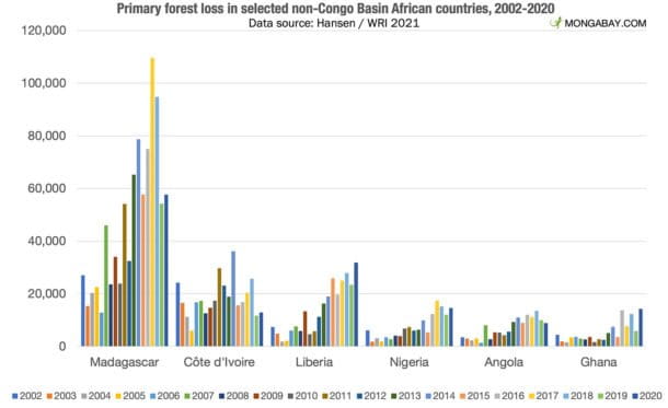 Global forest loss increased in 2020