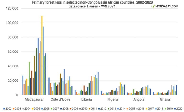 Global forest loss increased in 2020