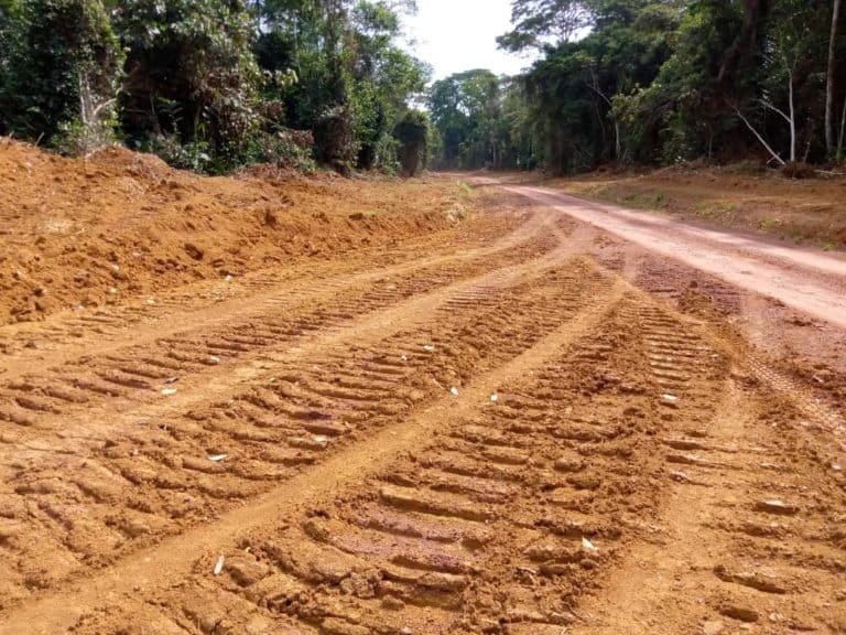 Logging company moves into intact Gabon forest as village fights to save it