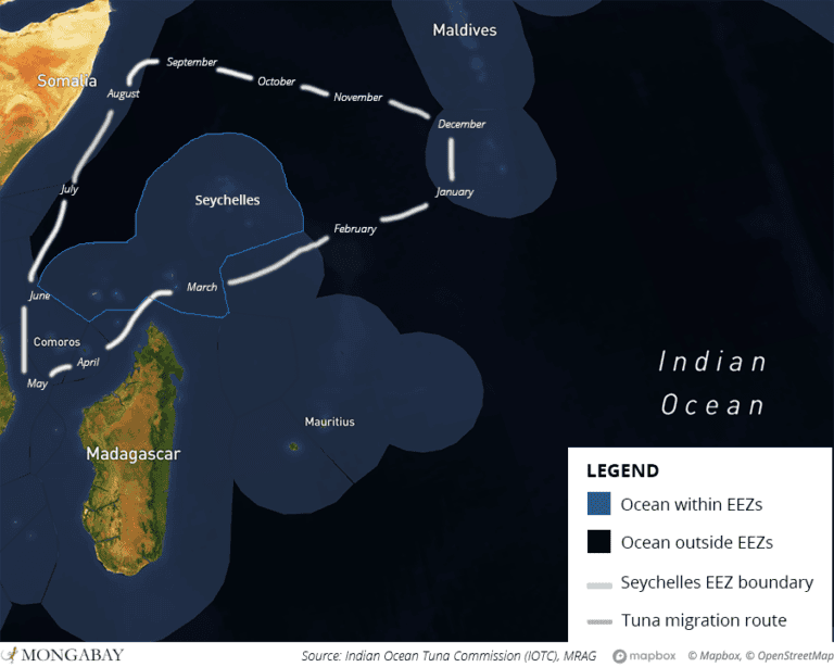Red flag: Predatory European ships help push Indian Ocean tuna to the brink