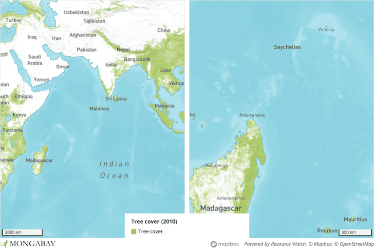 Red flag: Predatory European ships help push Indian Ocean tuna to the brink