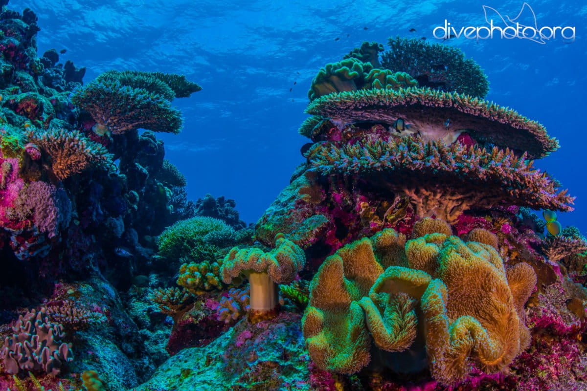 ‘We’re at a tipping point with coal’: Q&A with Bloomberg’s Antha Williams