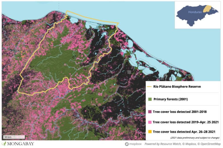 Drugs and agriculture cause deforestation to skyrocket at Honduran ...