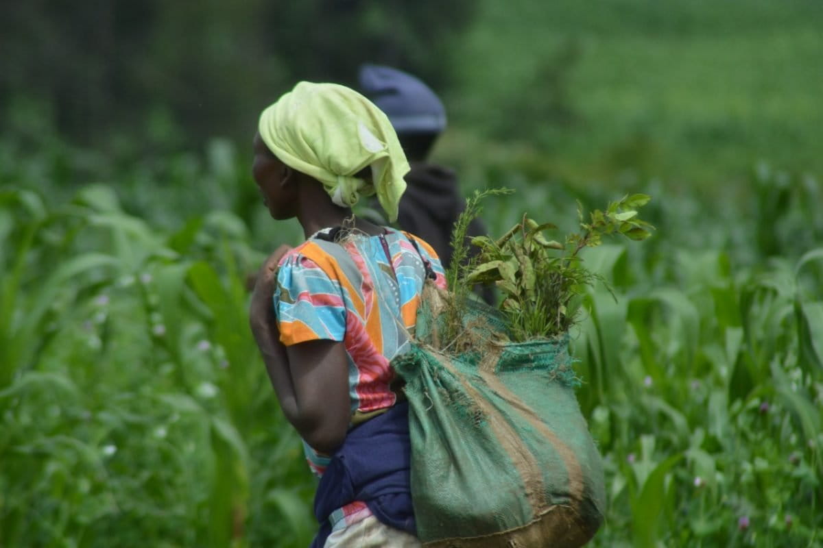 ‘Shared earth’ conservation promises to prioritize nature and people