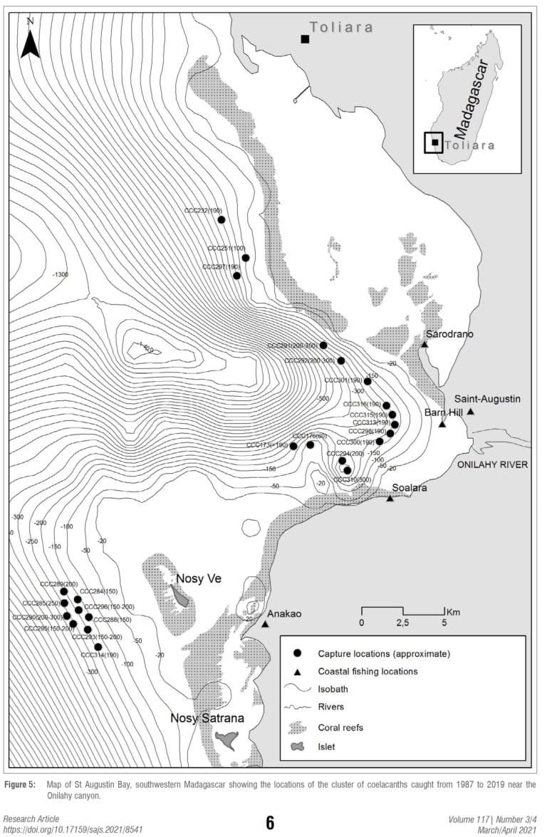 Ghost fish: after 420 million years in the deeps, modern gillnets from ...