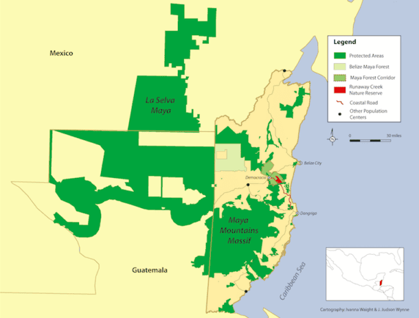Belize's Maya Forest Corridor a 'missing link' to giant rainforest ...
