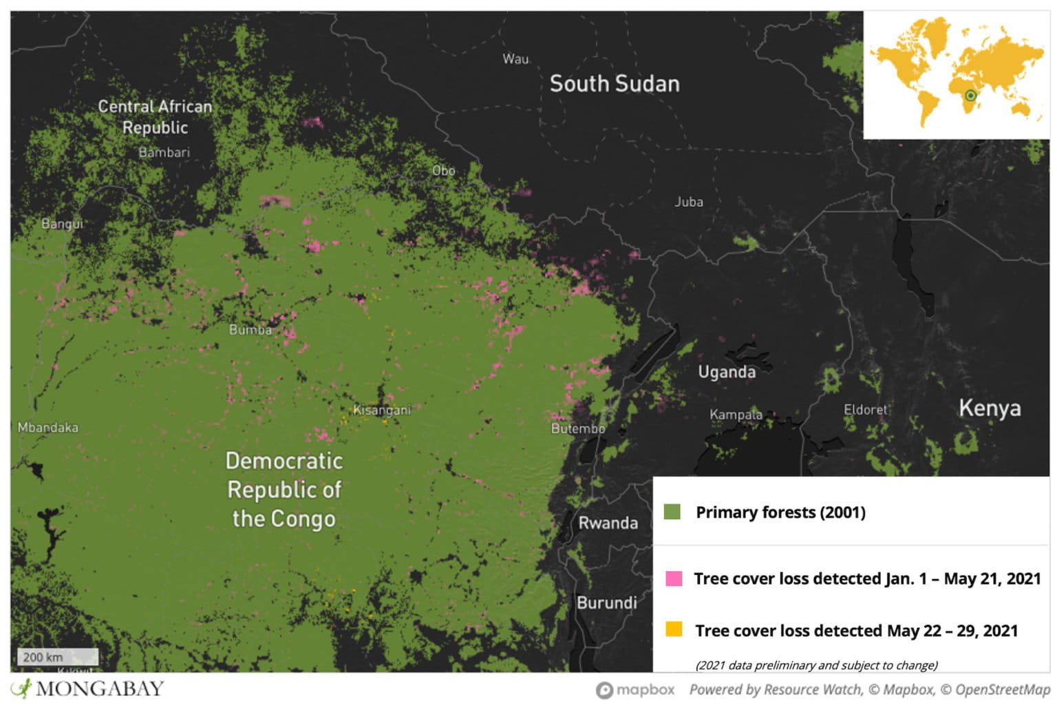 Deforestation Intensifies in Northern DRC Protected Areas | Earth.Org