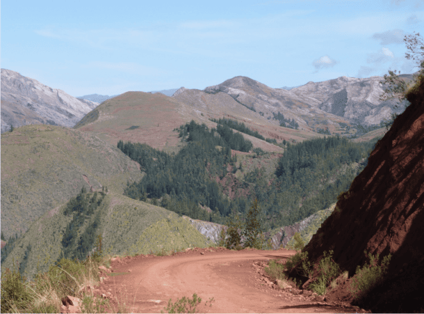 The secret bears of Bolivia’s lost dry forests