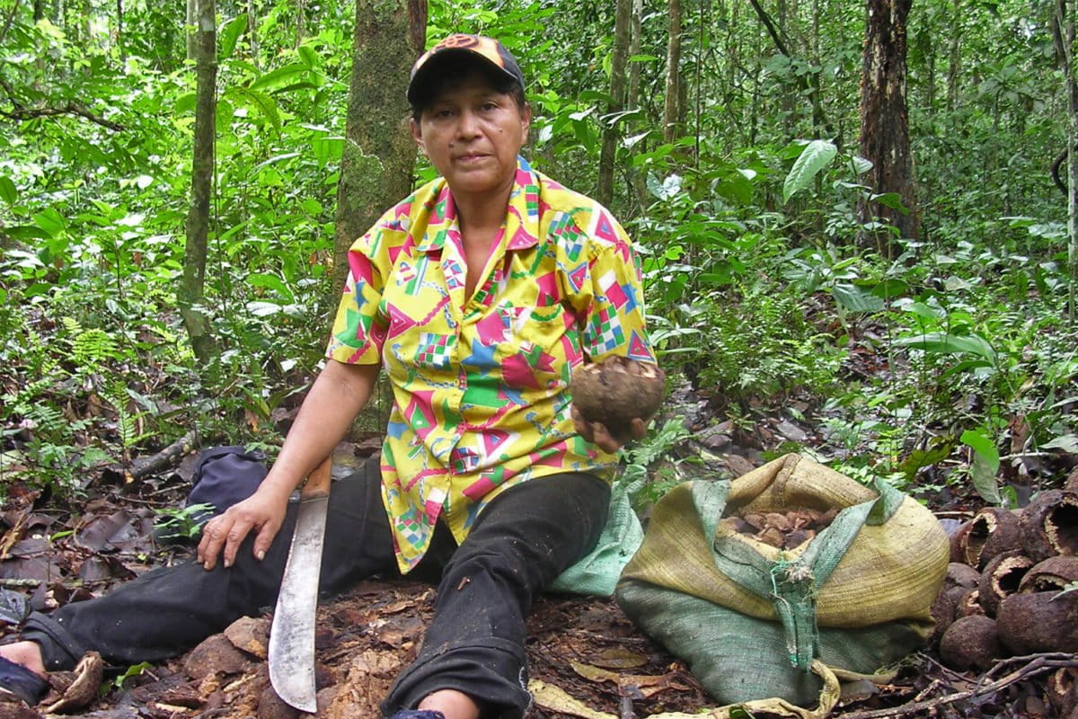 Brazil punching below its weight in getting forest products to the world