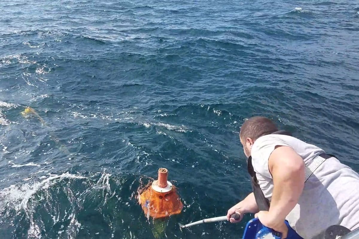 Big bioacoustics boost: Cornell University program receives $24 million ...