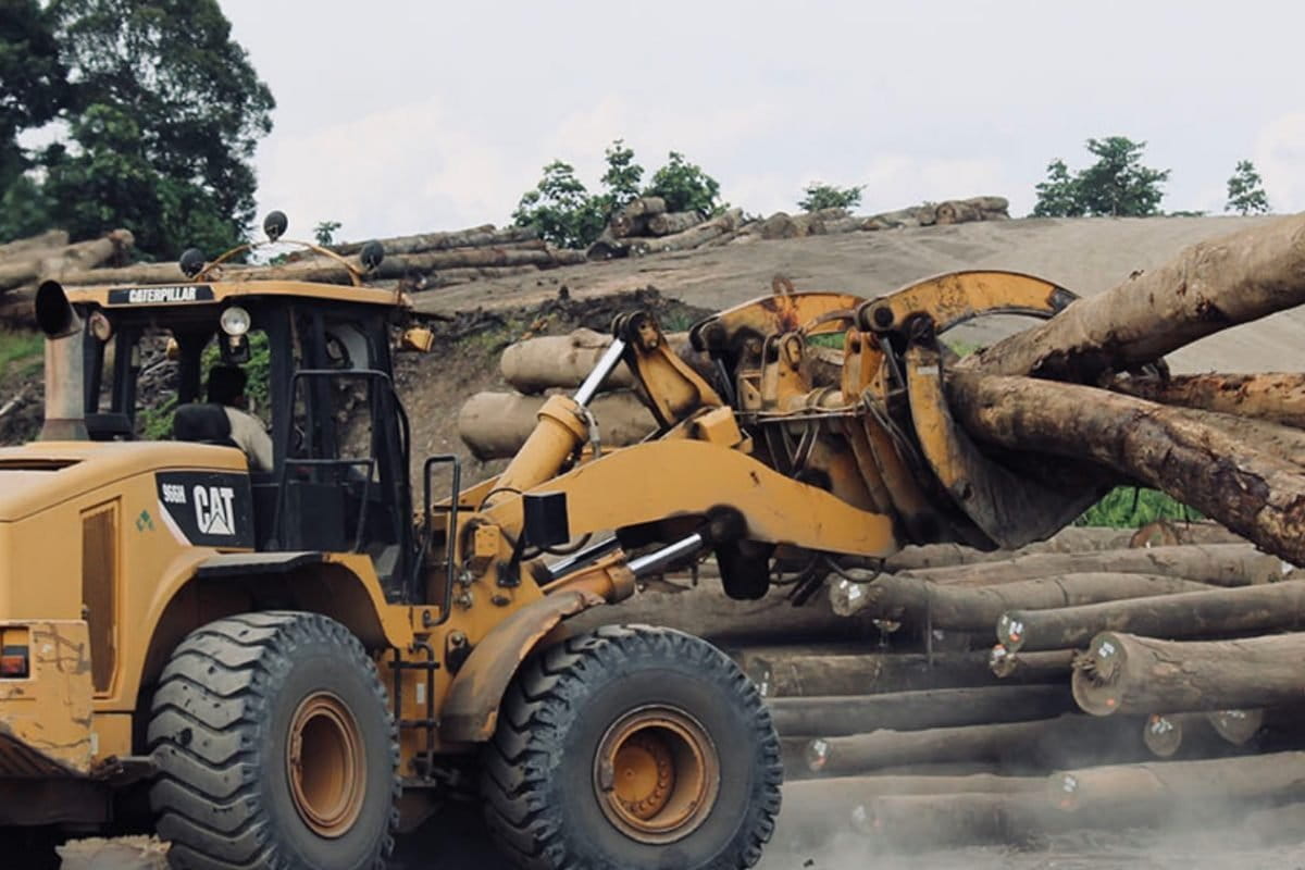 Malaysian council opens hearing into claims of timber certification flaws