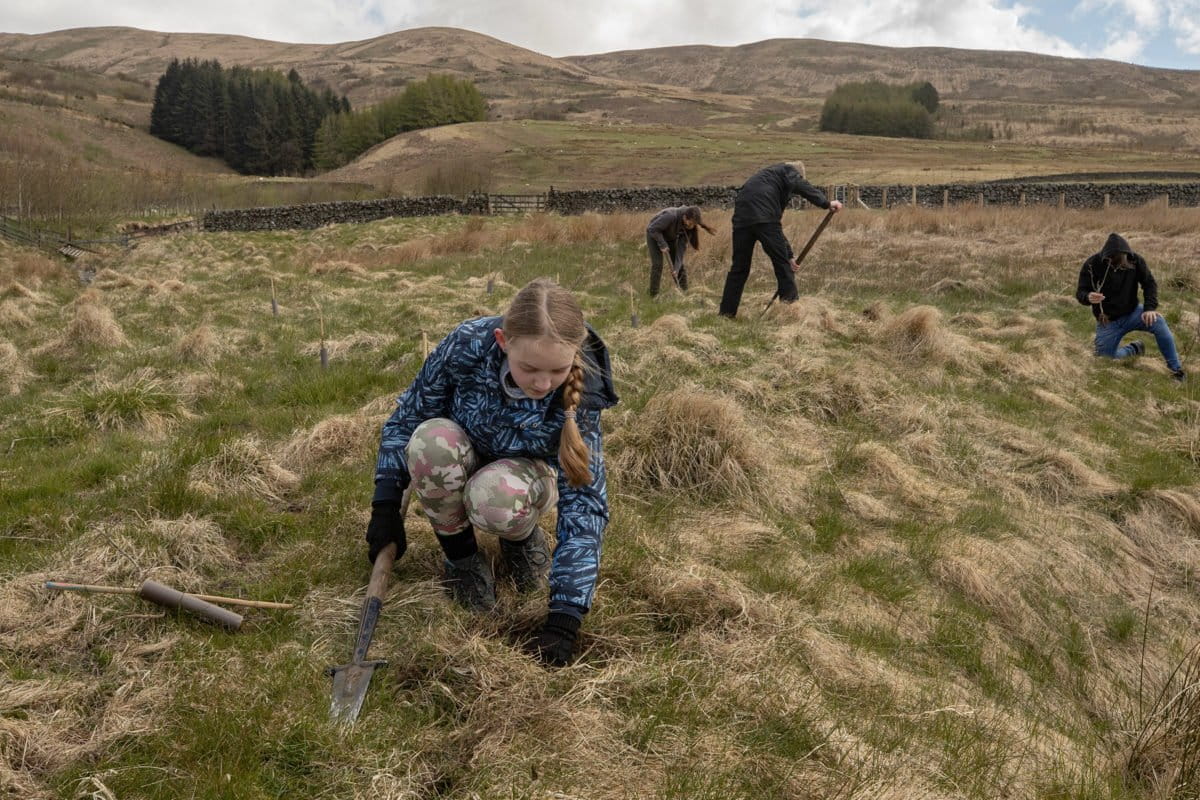 In Scotland, the rewilding movement looks to the past to plan its future