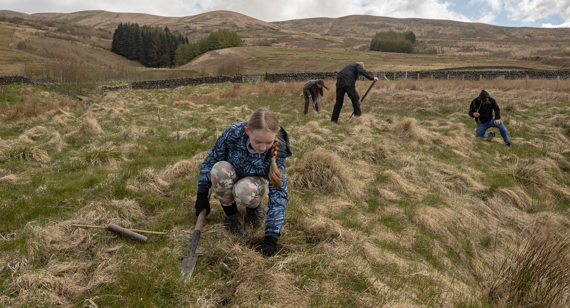 In Scotland, the rewilding movement looks to the past to plan its future
