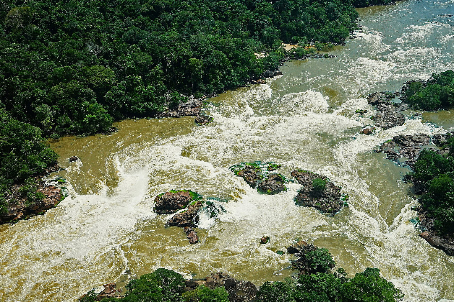Amazon dams: No clean water, fish dying, then the pandemic came