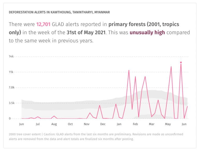 Deforestation of endangered wildlife habitat continues to surge in ...