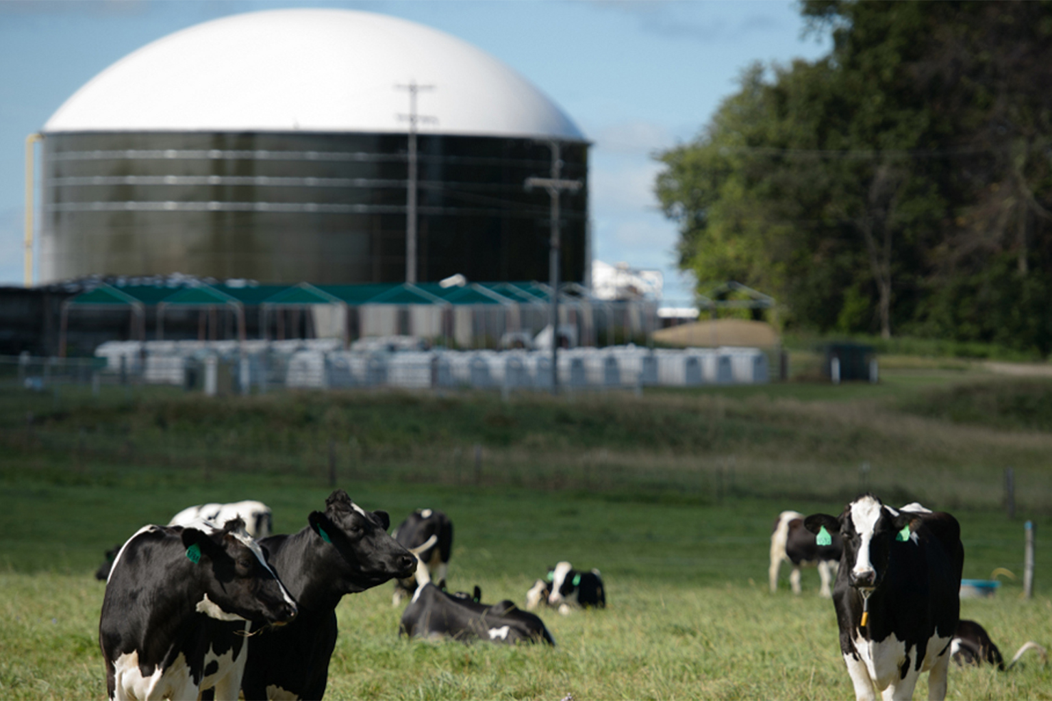 Converting biowaste to biogas could power cleaner, sustainable Earth future