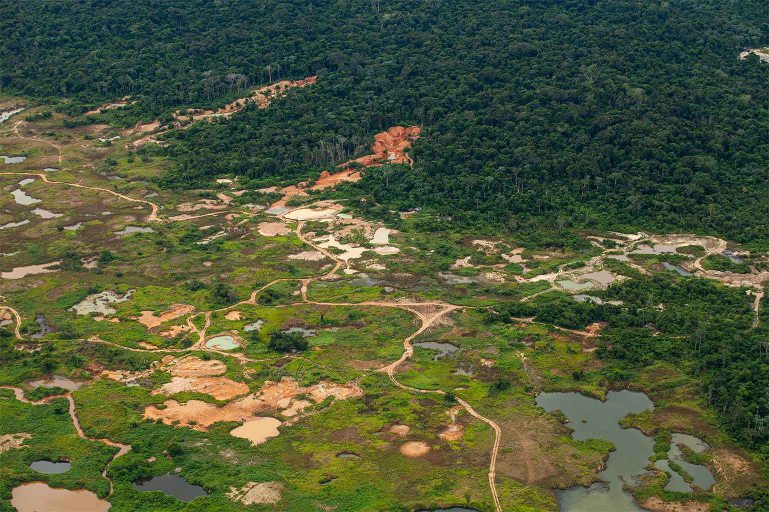 Deforestation soars 40% in Xingu River Basin in Brazilian Amazon