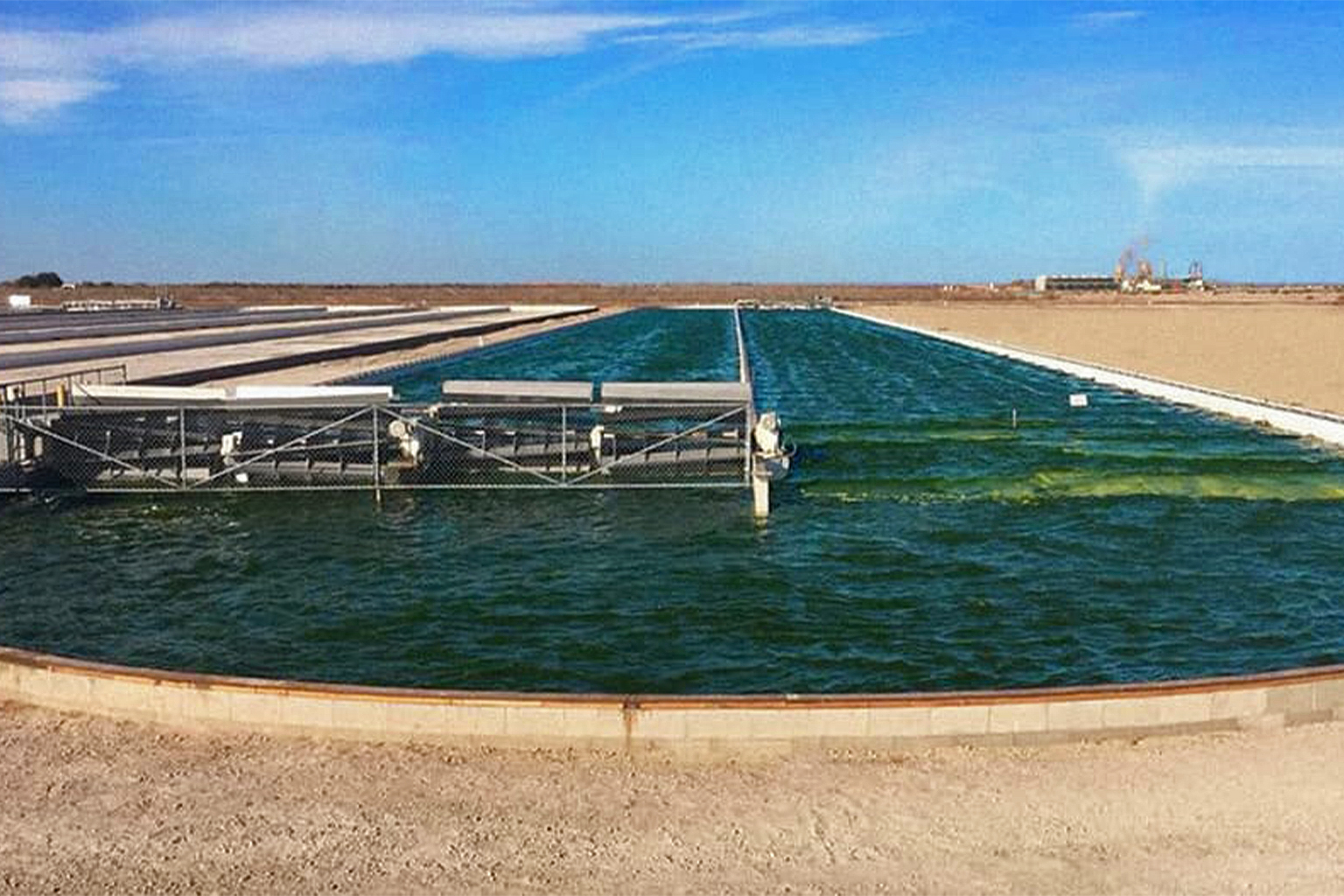 Playing the long game: ExxonMobil gambles on algae biofuel