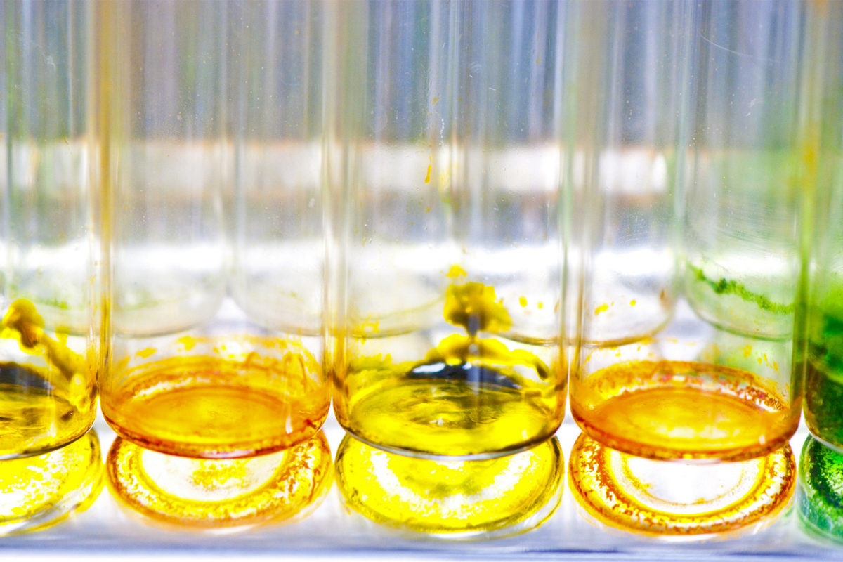 As Exxon bows out, industry takes step toward sustainable algae biofuels As Exxon bows out, industry takes step toward sustainable algae biofuels