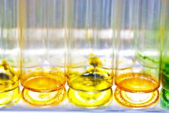 As Exxon bows out, industry takes step toward sustainable algae biofuels