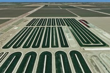 As Exxon bows out, industry takes step toward sustainable algae biofuels