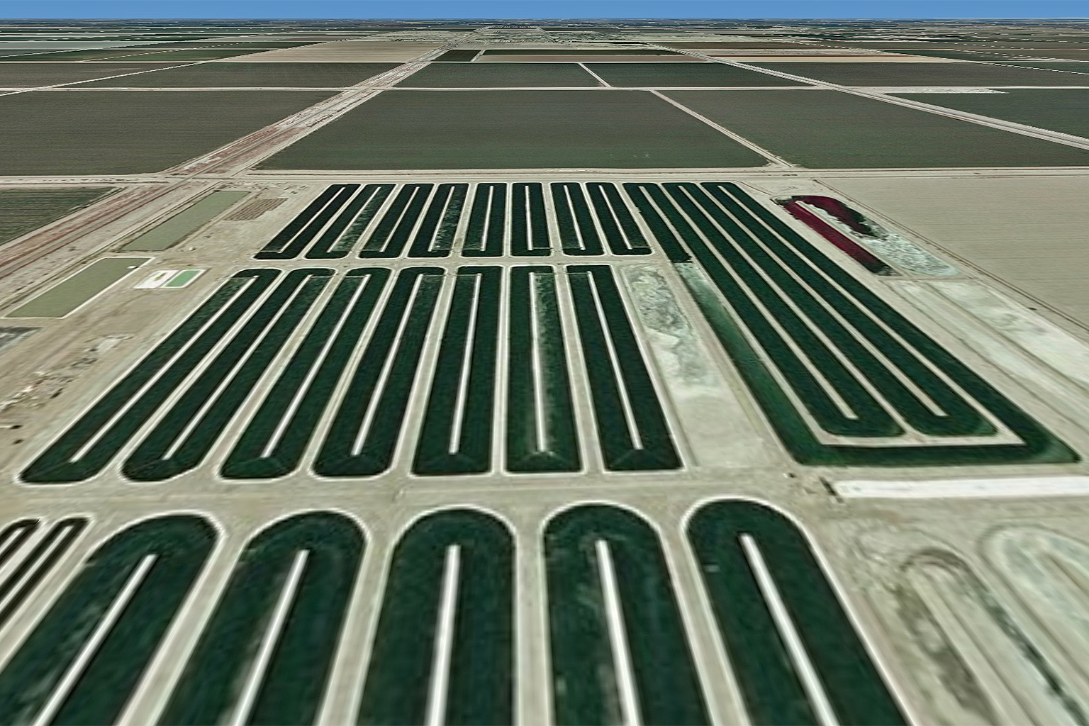 Playing the long game: ExxonMobil gambles on algae biofuel