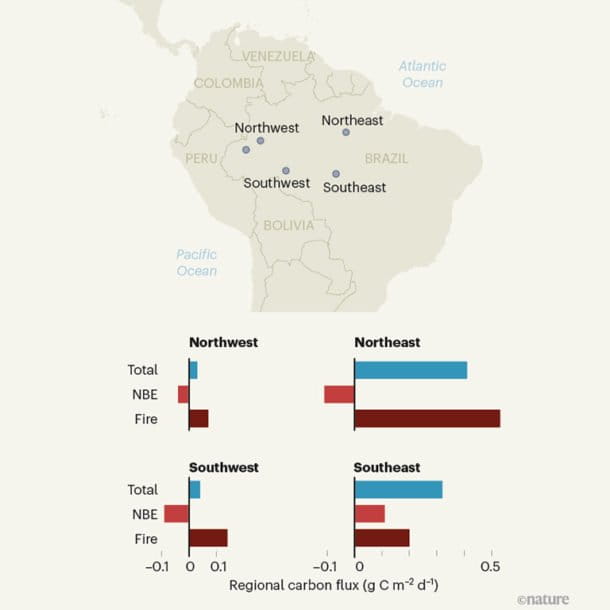 Brazil's Amazon is now a carbon source, unprecedented study reveals