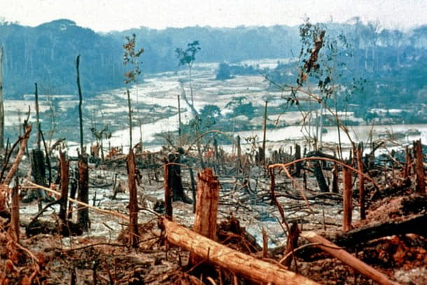 Hotter and drier: Deforestation and wildfires take a toll on the Amazon