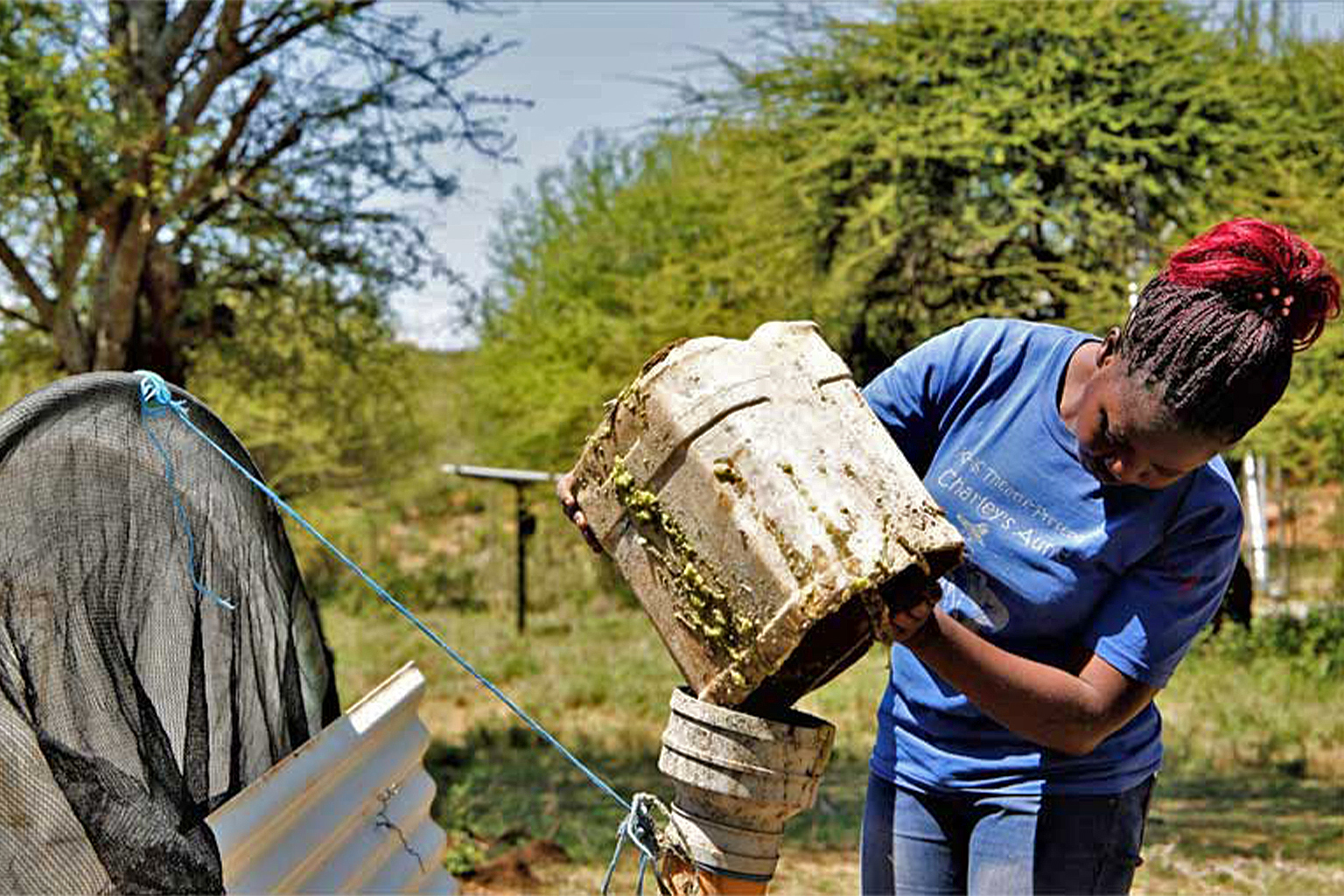 Turning Kenya’s problematic invasive plants into useful bioenergy