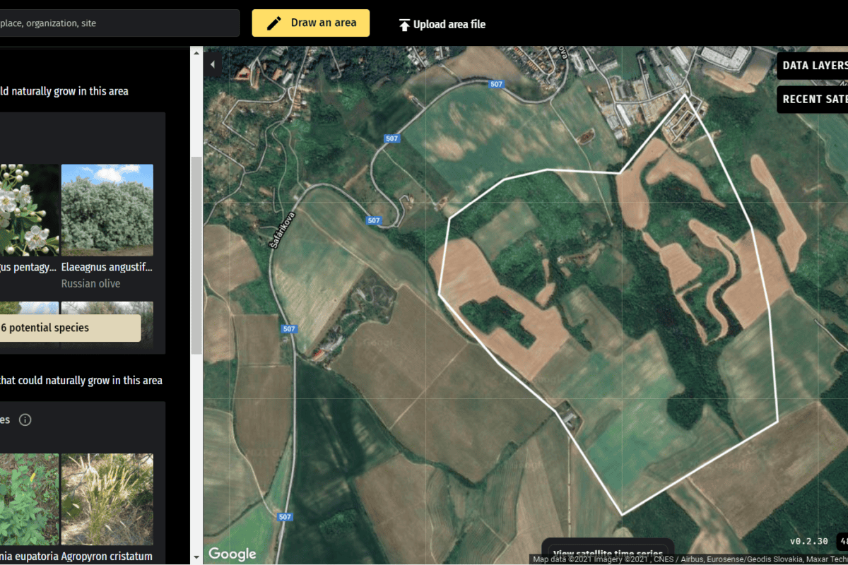 Global restoration now has an online meeting point
