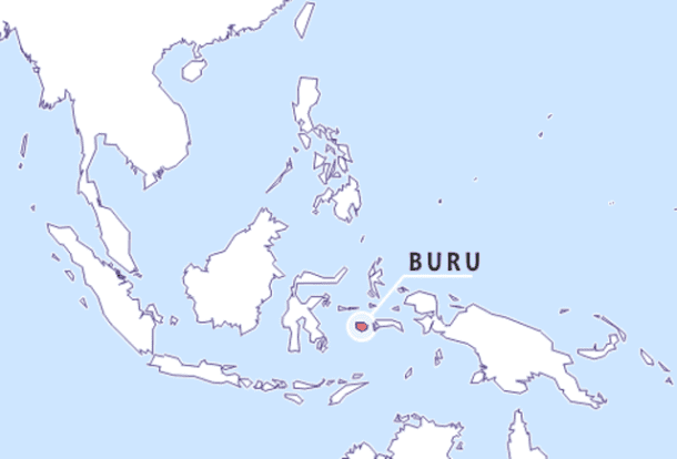 Camera trap cameo for Buru Island babirusa last seen 26 years ago