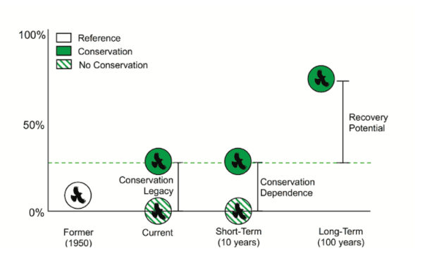 For species in the red, IUCN’s new Green Status signals conservation wins