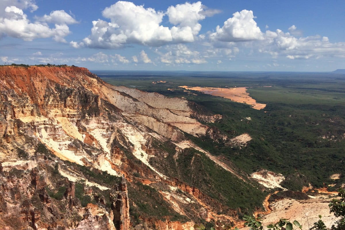 Cerrado desertification: Savanna could collapse within 30 years, says study