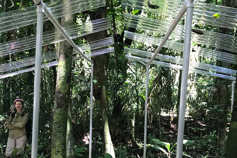 Soil and its promise as a climate solution: A primer