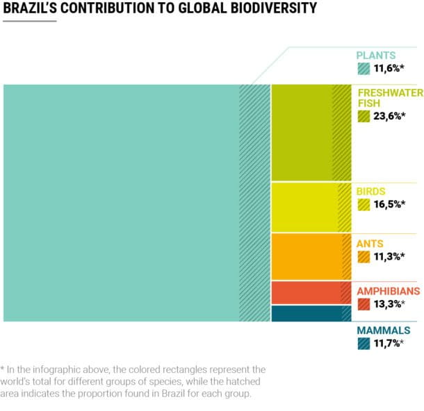 Platform presents unpublished data on Brazilian biodiversity