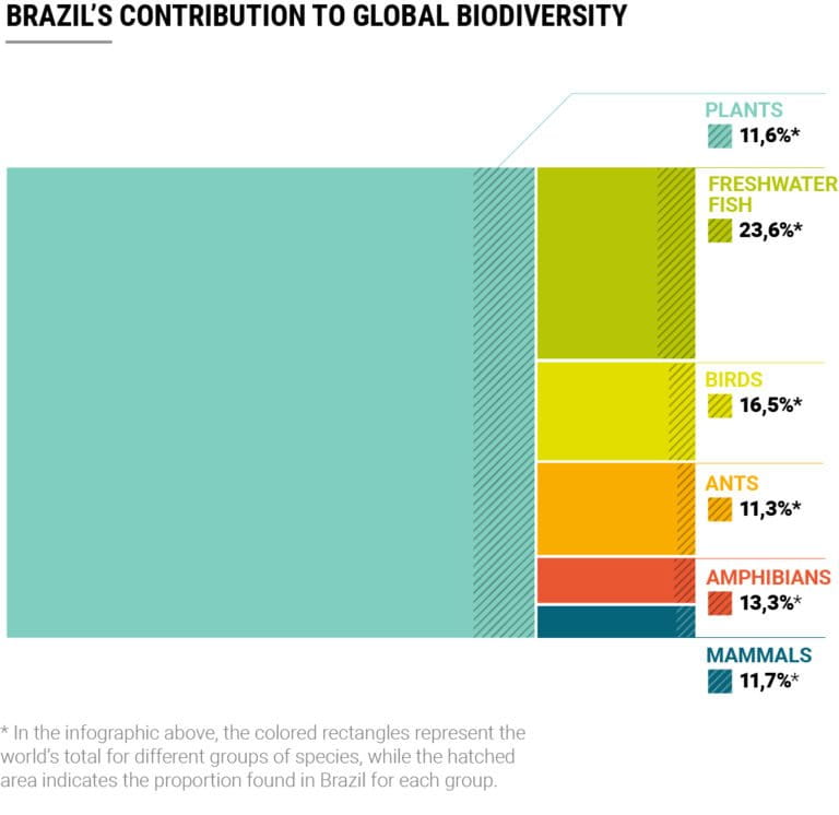 Platform presents unpublished data on Brazilian biodiversity