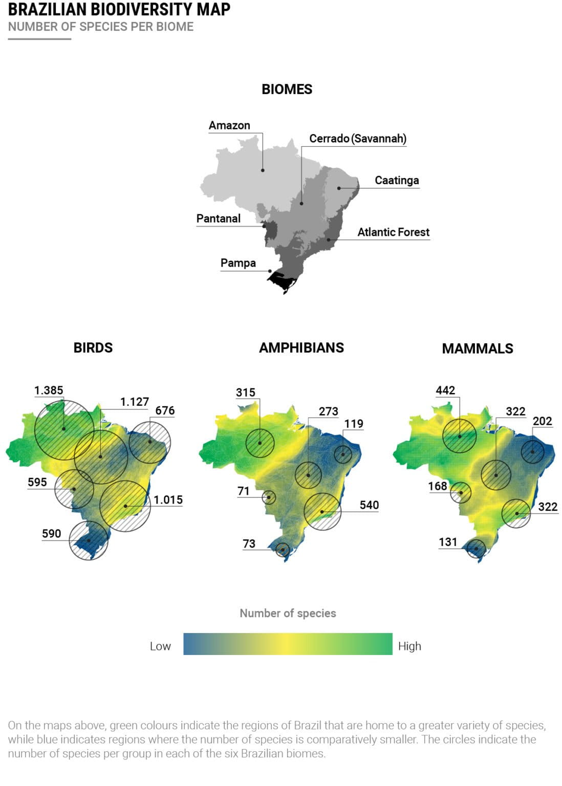 Platform presents unpublished data on Brazilian biodiversity