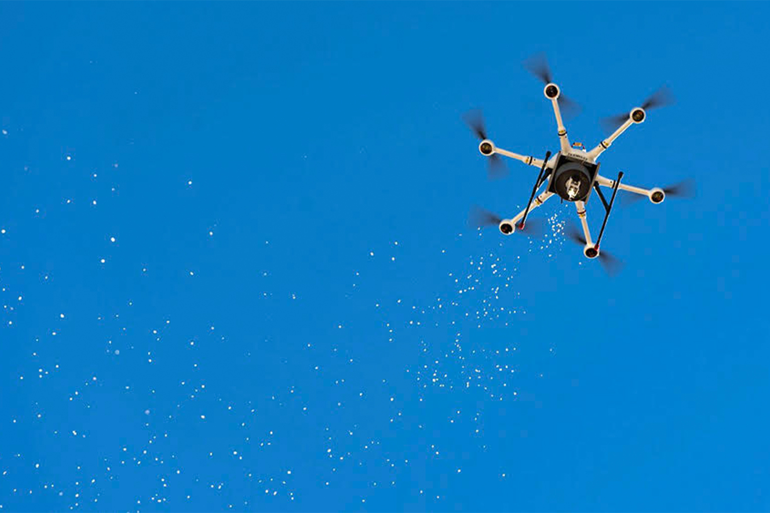 Swarm technology: Researchers experiment with drones to battle crop pests