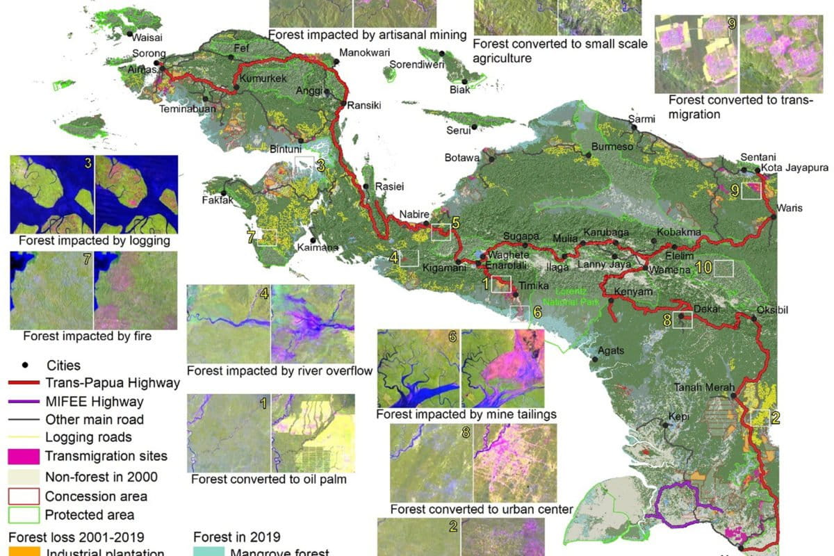 Plantations and roads strip away Papua’s forests. They’re just getting ...