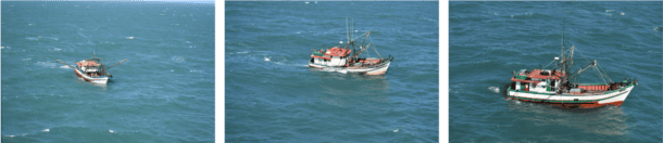 Trawling bycatch increases risk of marine life extinction in Brazil