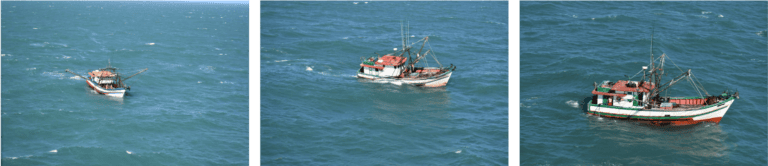 Trawling bycatch increases risk of marine life extinction in Brazil